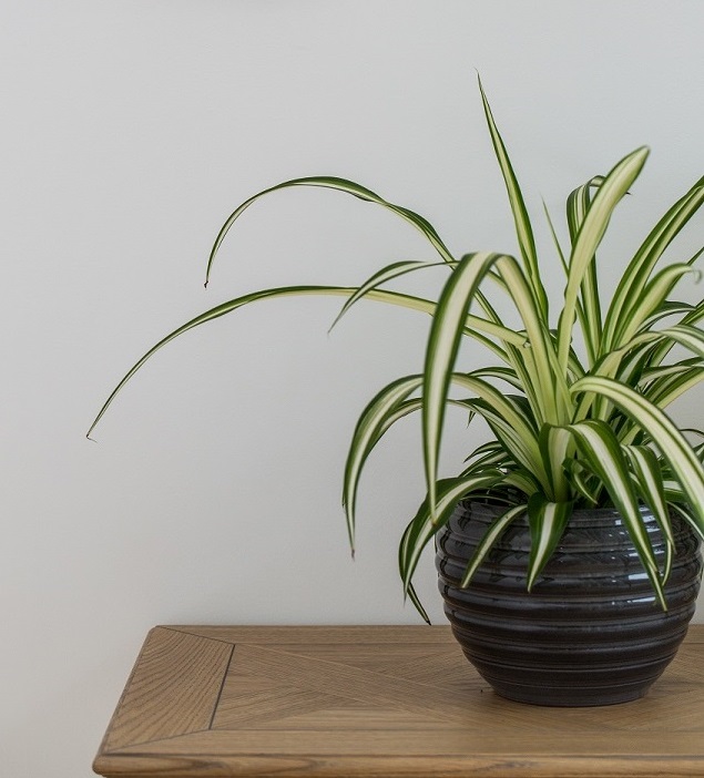 Swift Building Contractors